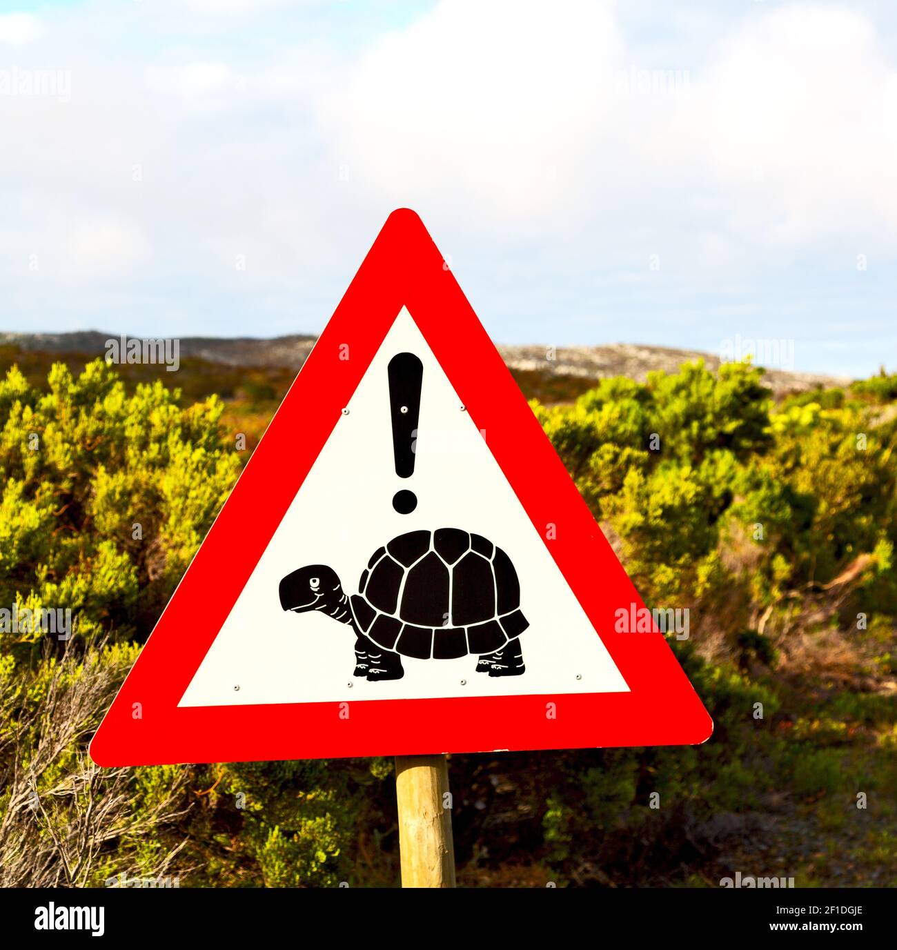 Tortoise warning road sign hi-res stock photography and images - Alamy