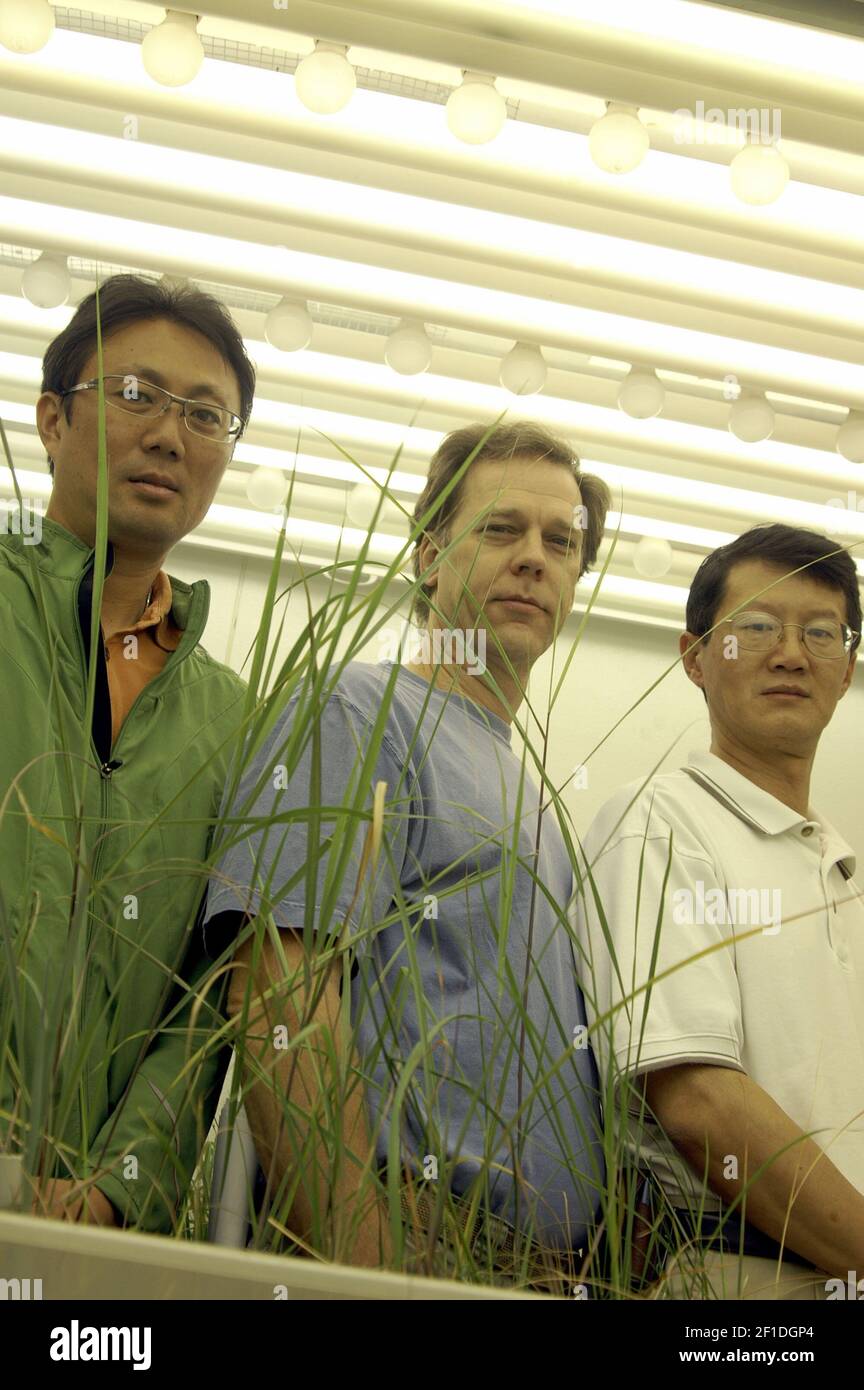 Researchers Chung-Ho Lin, from left, Robert Lerch and John Yang ...