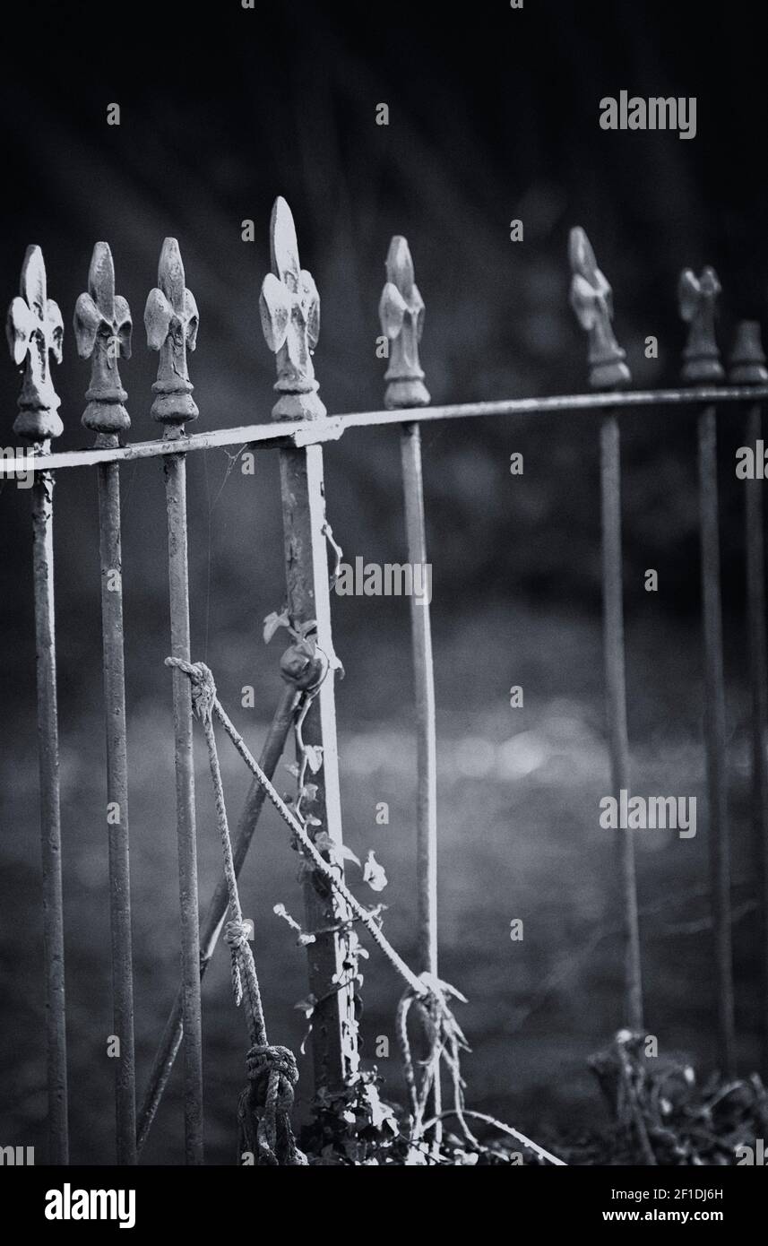 broken down old weathered wrought iron fence broome norfolk england ...