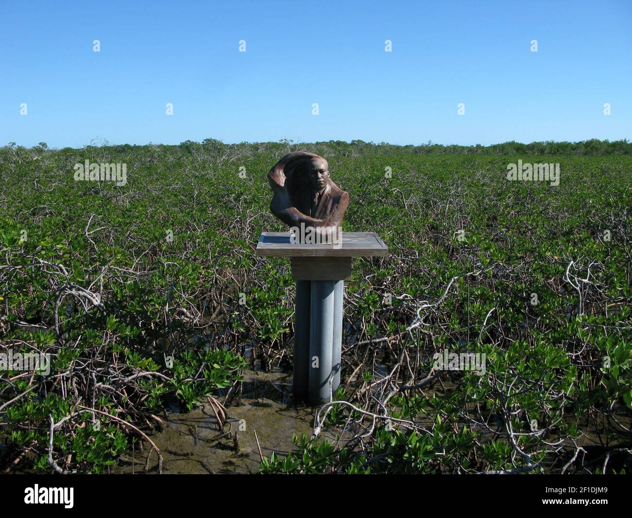 Martin Luther King visited the mangrove swamps to write in a quiet ...