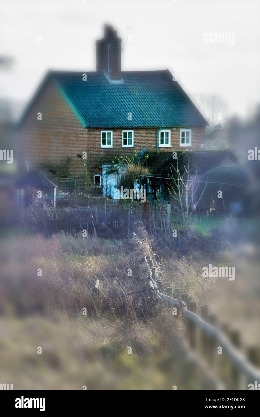 old fashion paired of detached rural farm cottages broome norfolk ...