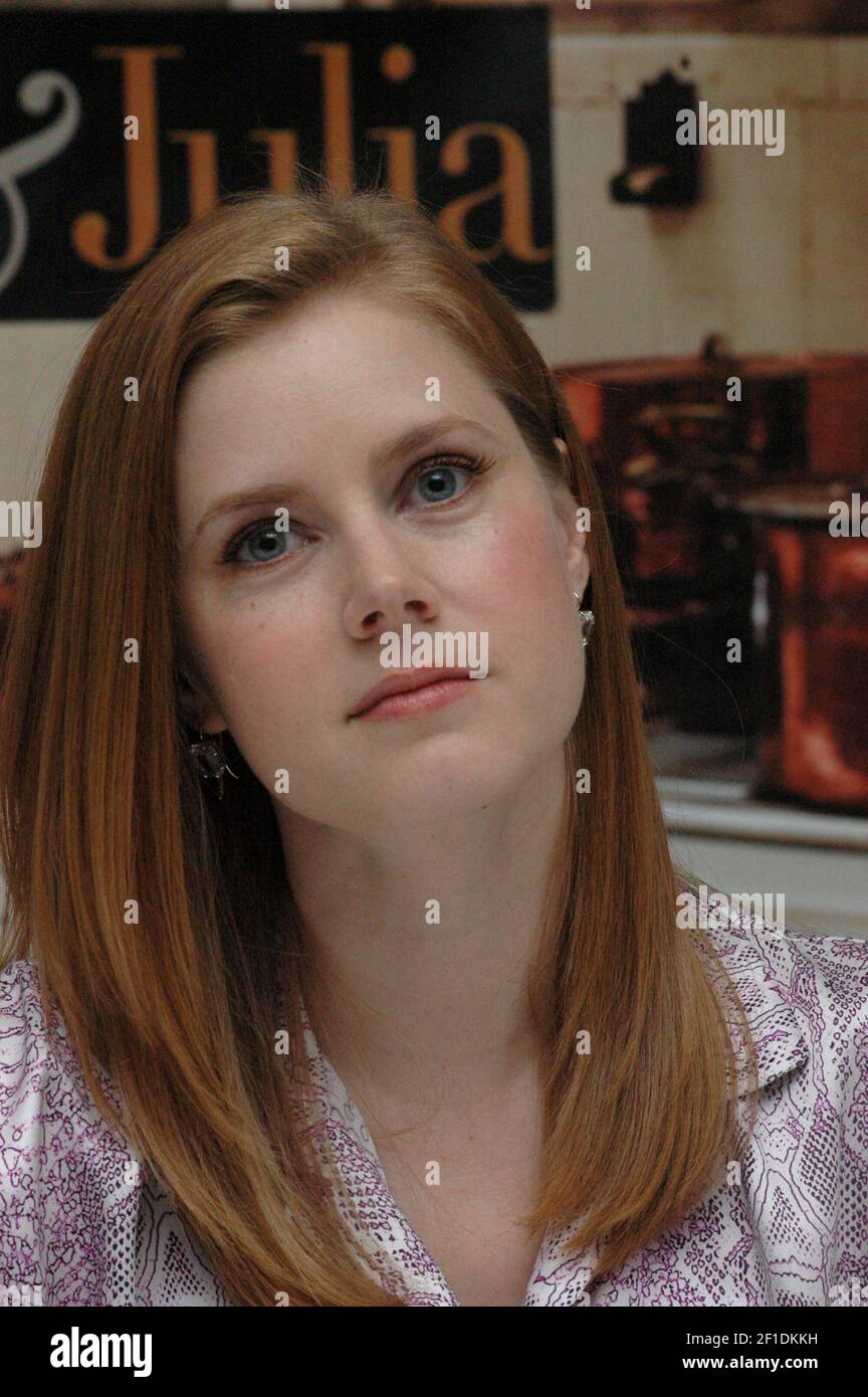 Amy Adams at the Hollywood Foreign Press Association press conference ...