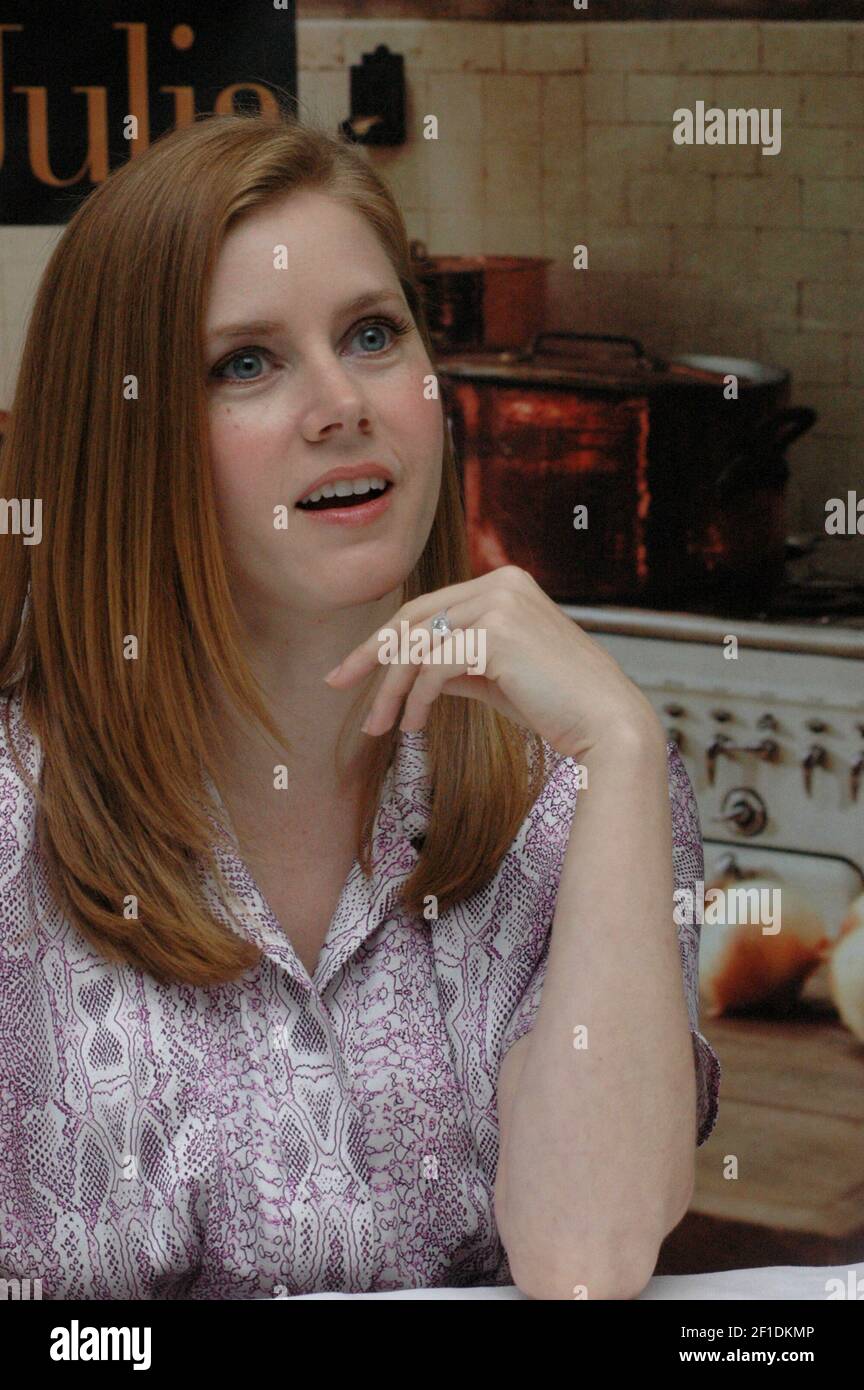 Amy Adams at the Hollywood Foreign Press Association press conference ...