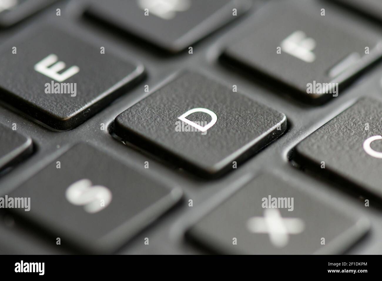 Letter D key on a laptop keyboard Stock Photo - Alamy