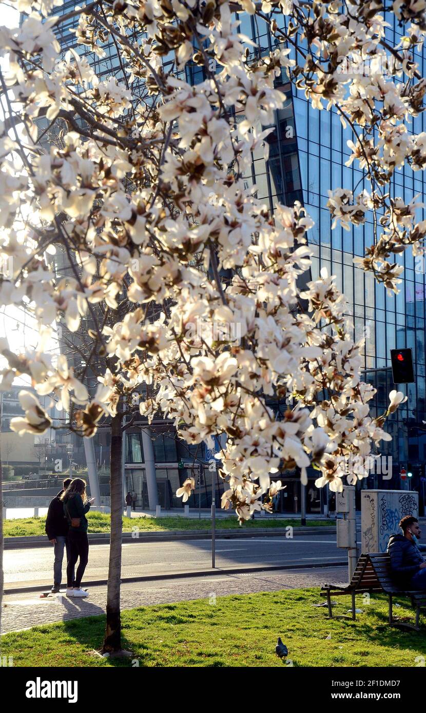 Milan, Italy. 09th Mar, 2021. Milan, Flowering trees for the arrival of ...