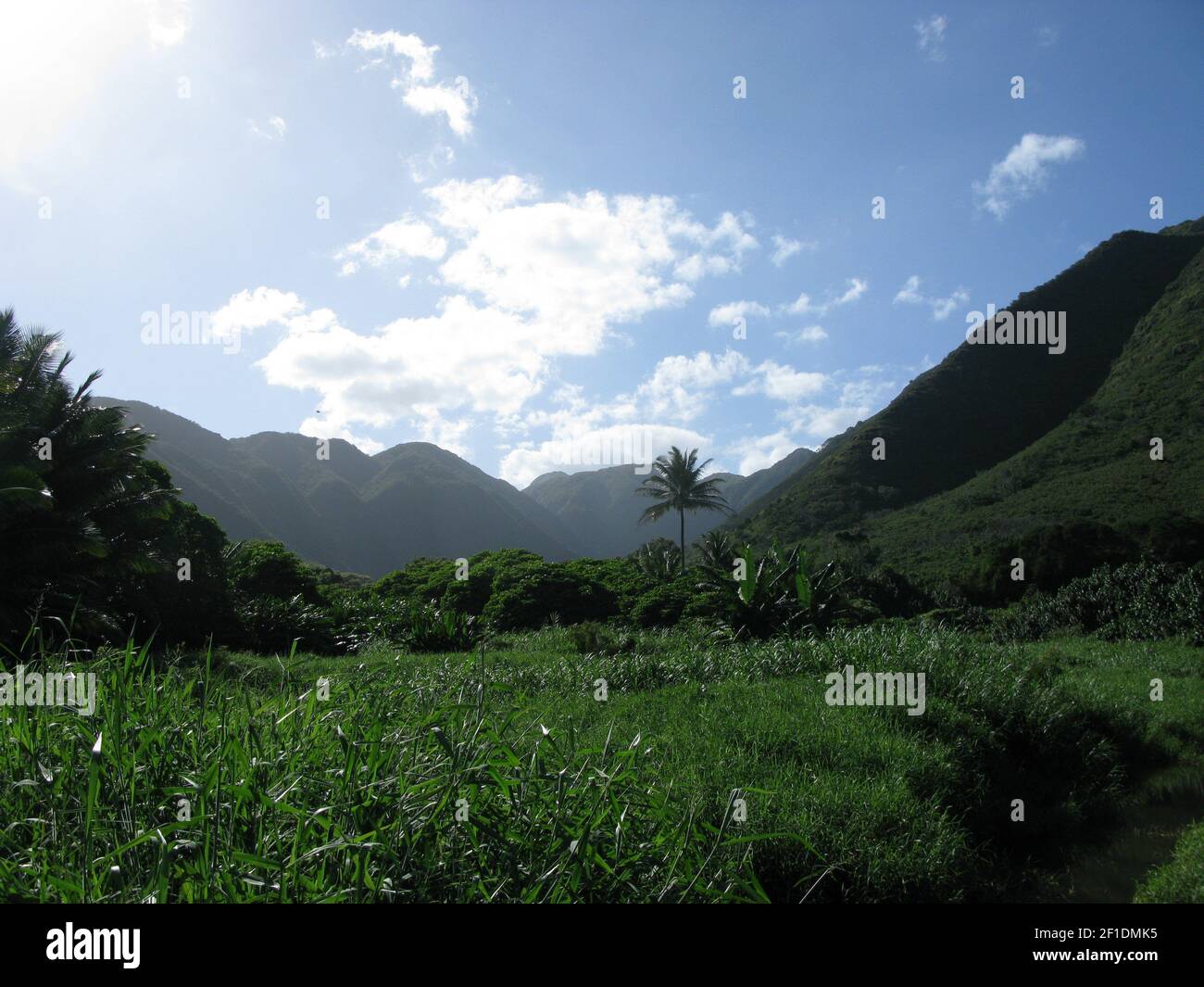 Halawa valley, molokai hi-res stock photography and images - Alamy