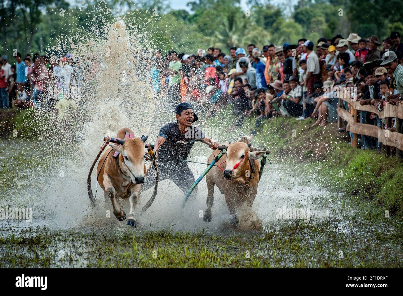 --File--In this undated photo, a jockey holds on to the tails of the ...