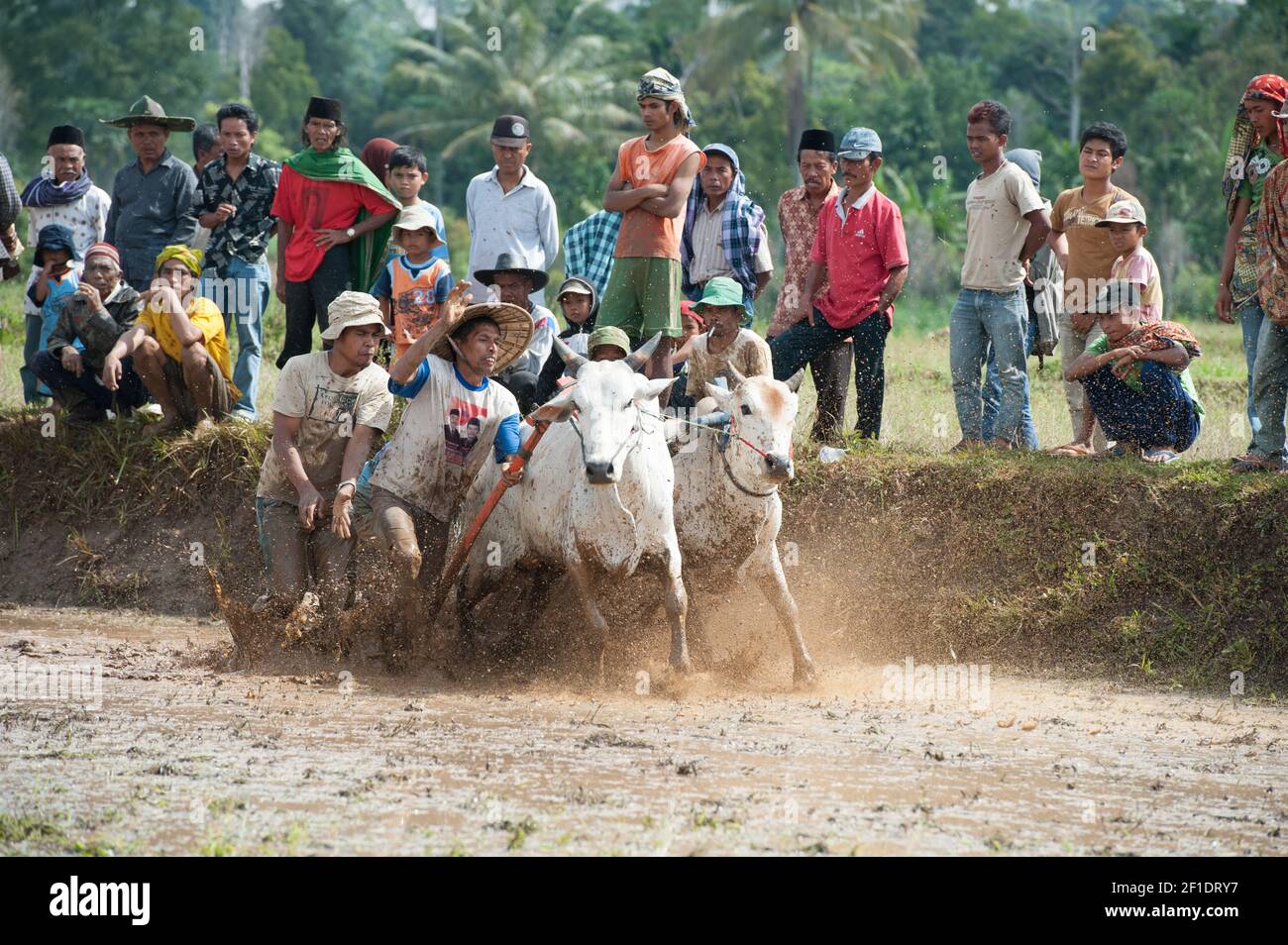 --File--In this undated photo, a jockey holds on to the tails of the ...