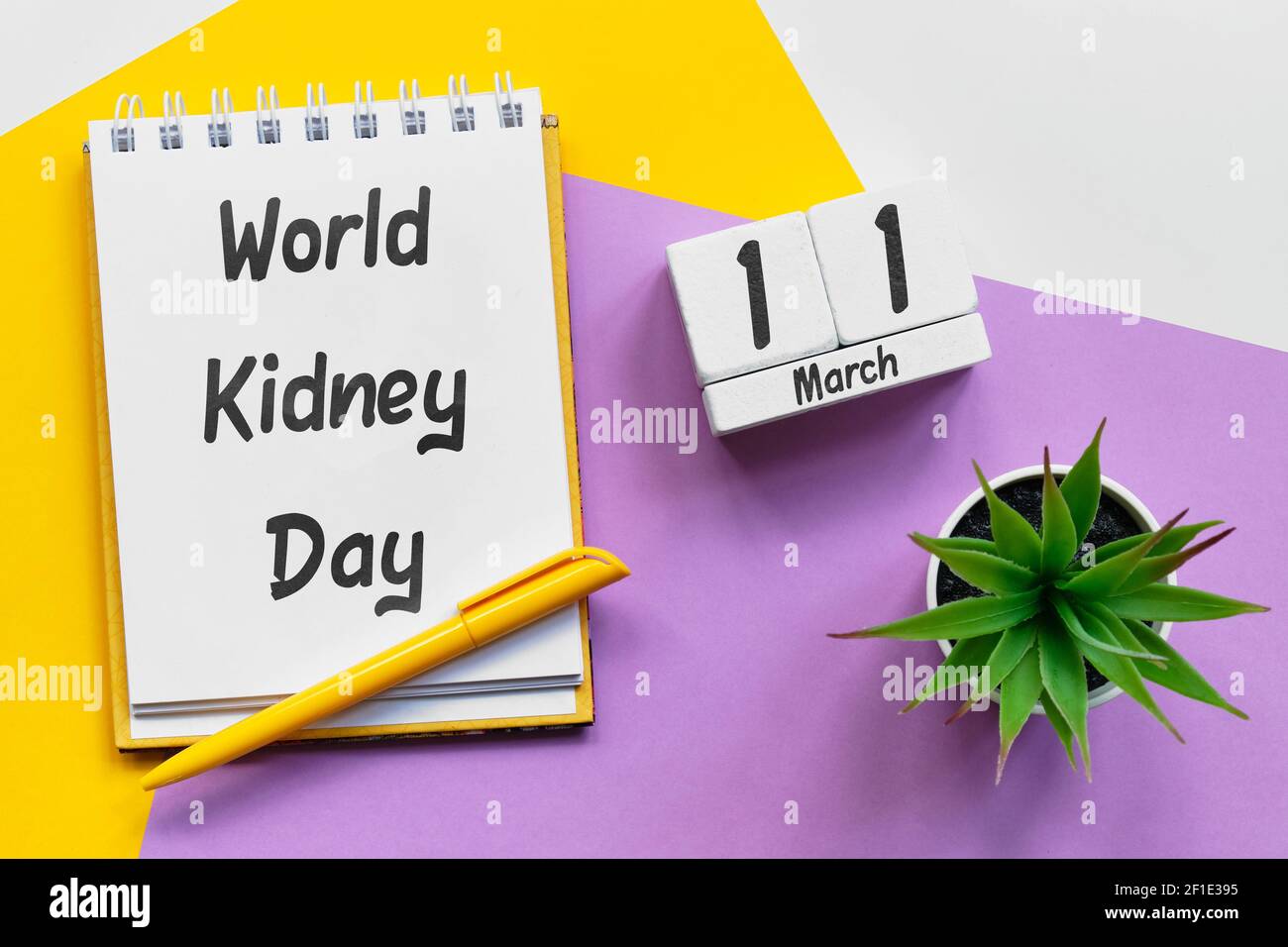 World kidney day hi-res stock photography and images - Alamy