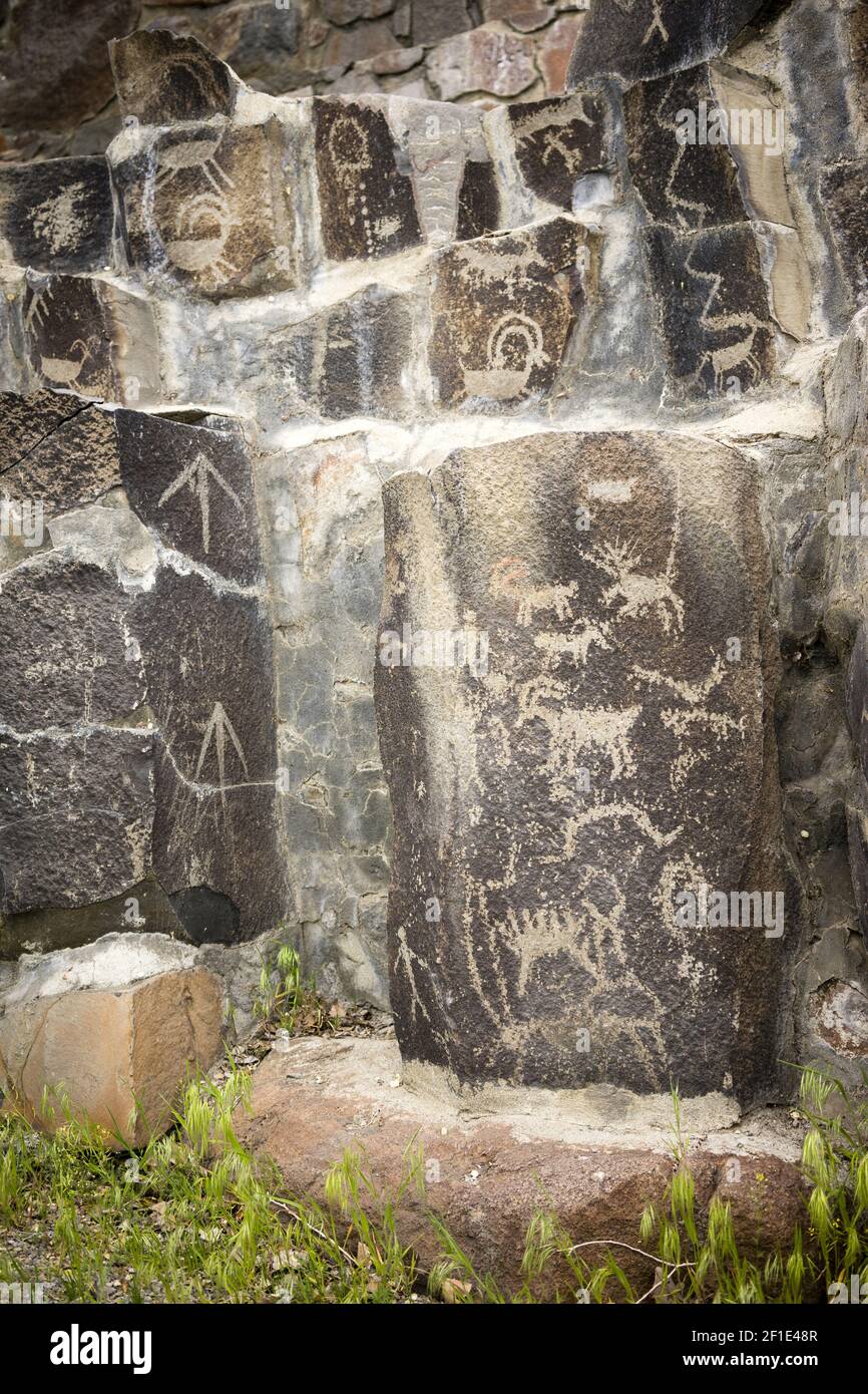 Ancient Petroglyphs Cliff Drawings Ginko Petrified Forest Washington ...