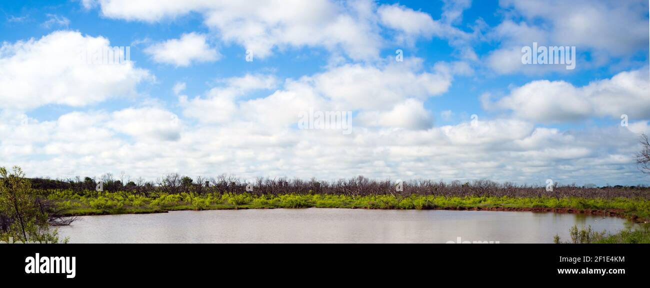 Ranch Pond Green Grass Blue Shy White Clouds Stock Photo - Alamy