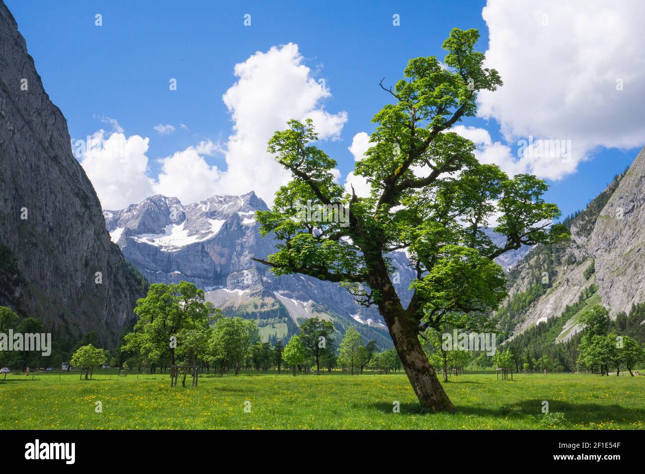 Ground alp hi-res stock photography and images - Alamy