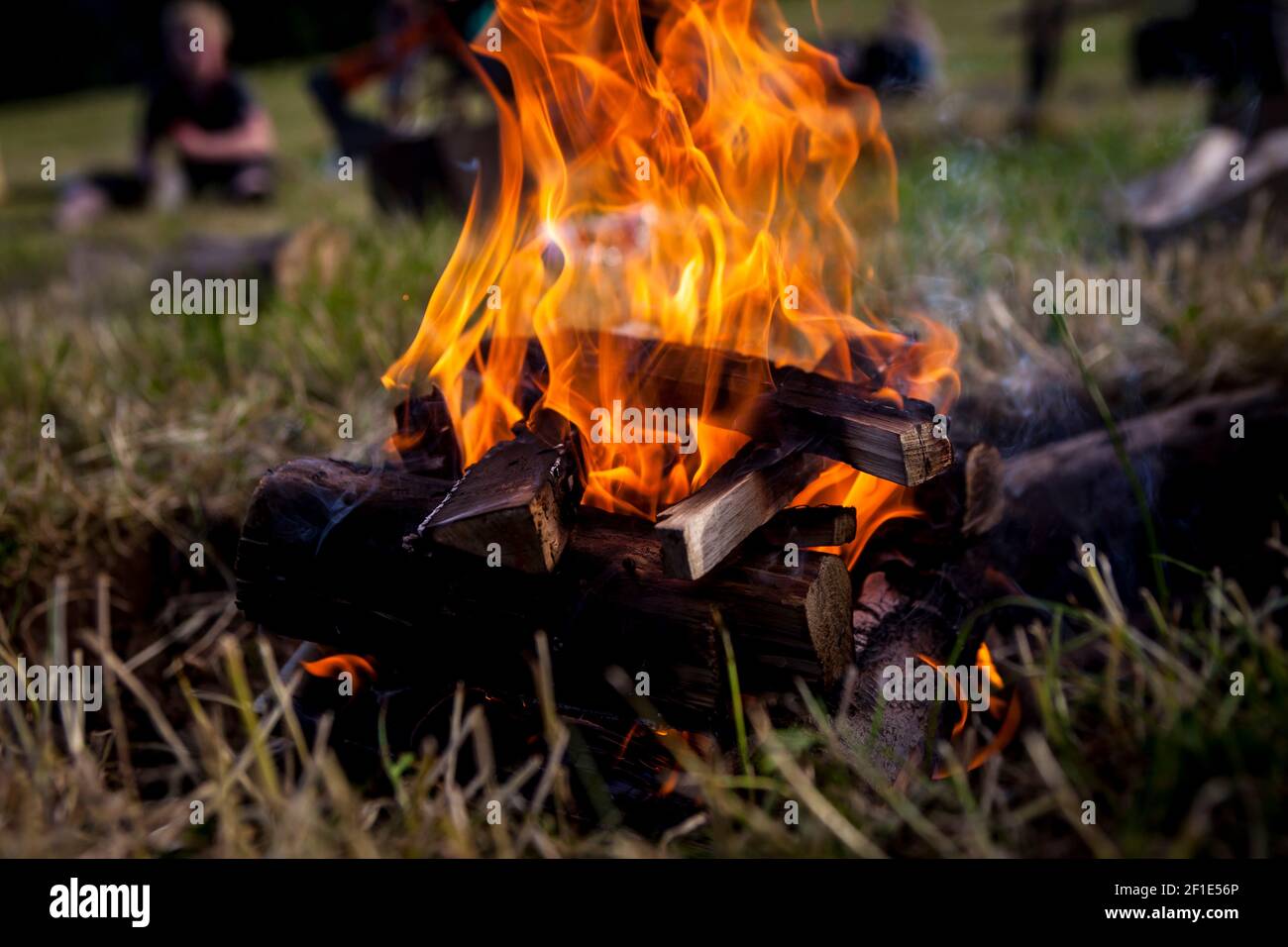 A closeup of a bonfire in the woods Stock Photo - Alamy