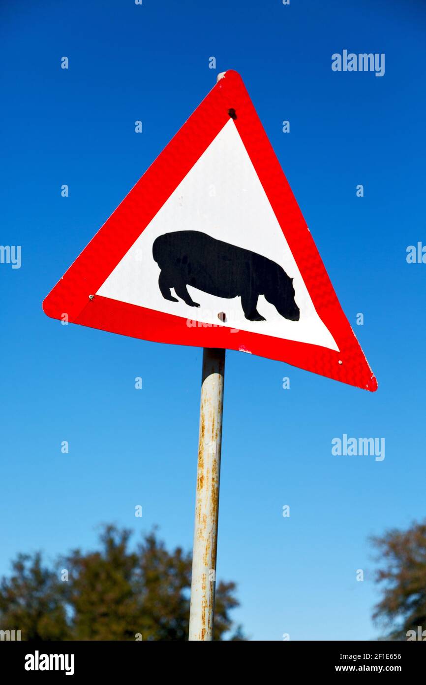 In south africa close up of the hippopotamus sign Stock Photo - Alamy