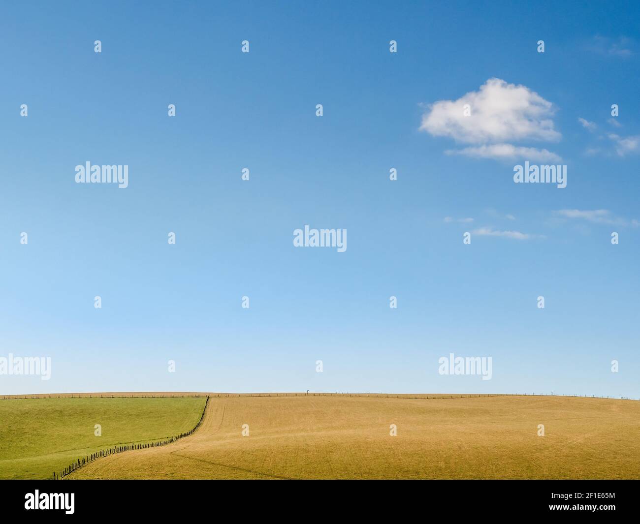 Minimalist meadow, field landscape, with blue sky and small cloud ...