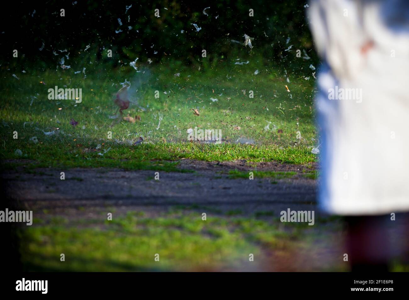 Ashes blowing in the wind Stock Photo - Alamy