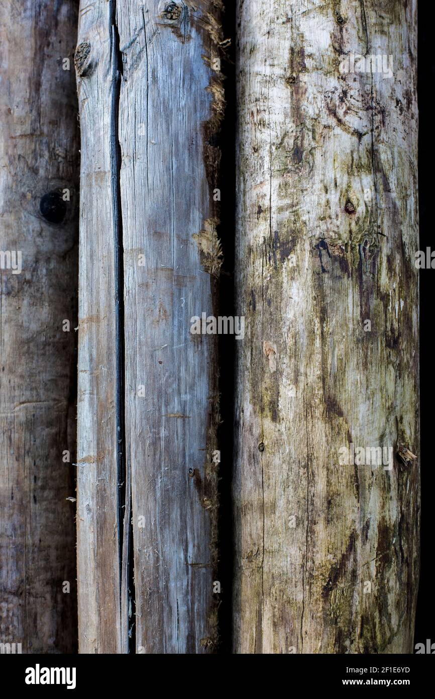 Closeup of logs trees laying against each-other Stock Photo - Alamy
