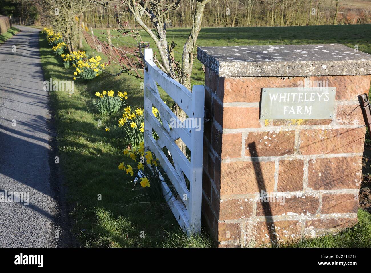 Whiteleys Farm, Maybole, South Ayrshire , Scotland, UK. The farm hjas ...