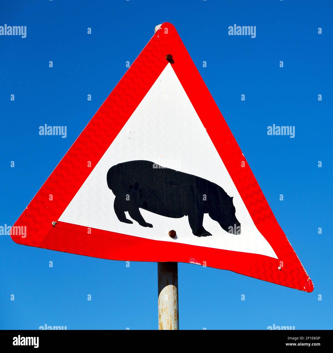 In south africa close up of the hippopotamus sign Stock Photo - Alamy