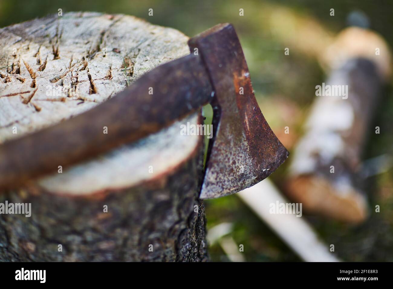 An axe laying on a tree stump outdoors in nature Stock Photo - Alamy