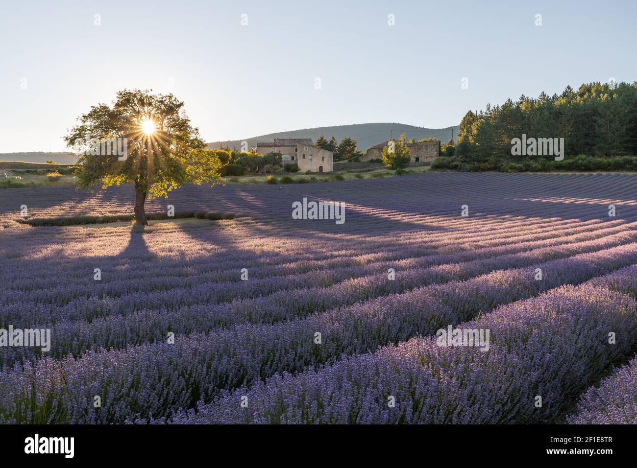Purple Panorama High Resolution Stock Photography and Images - Alamy