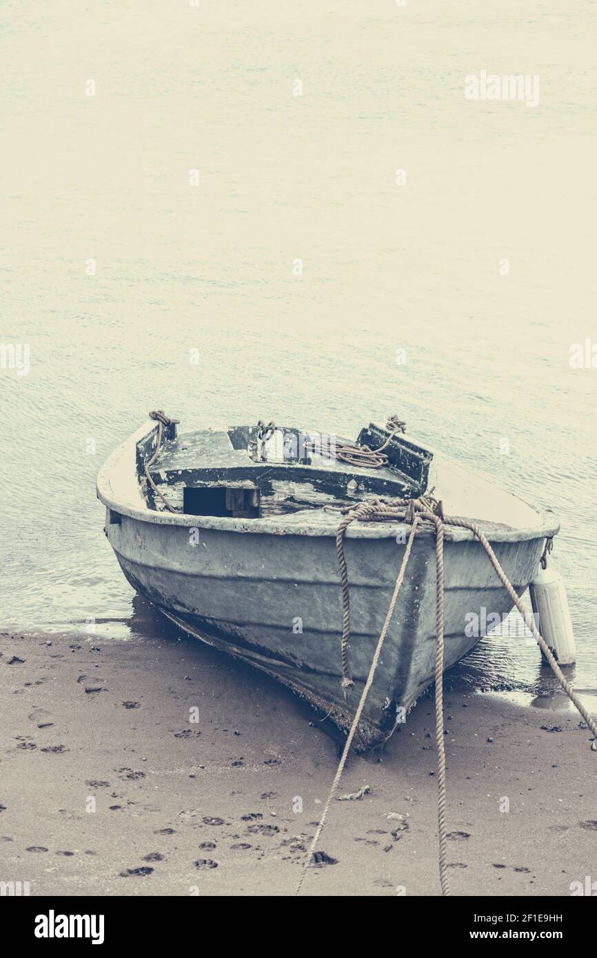 A beached rowing boat at low tide at Shaldon in Devon Stock Photo - Alamy