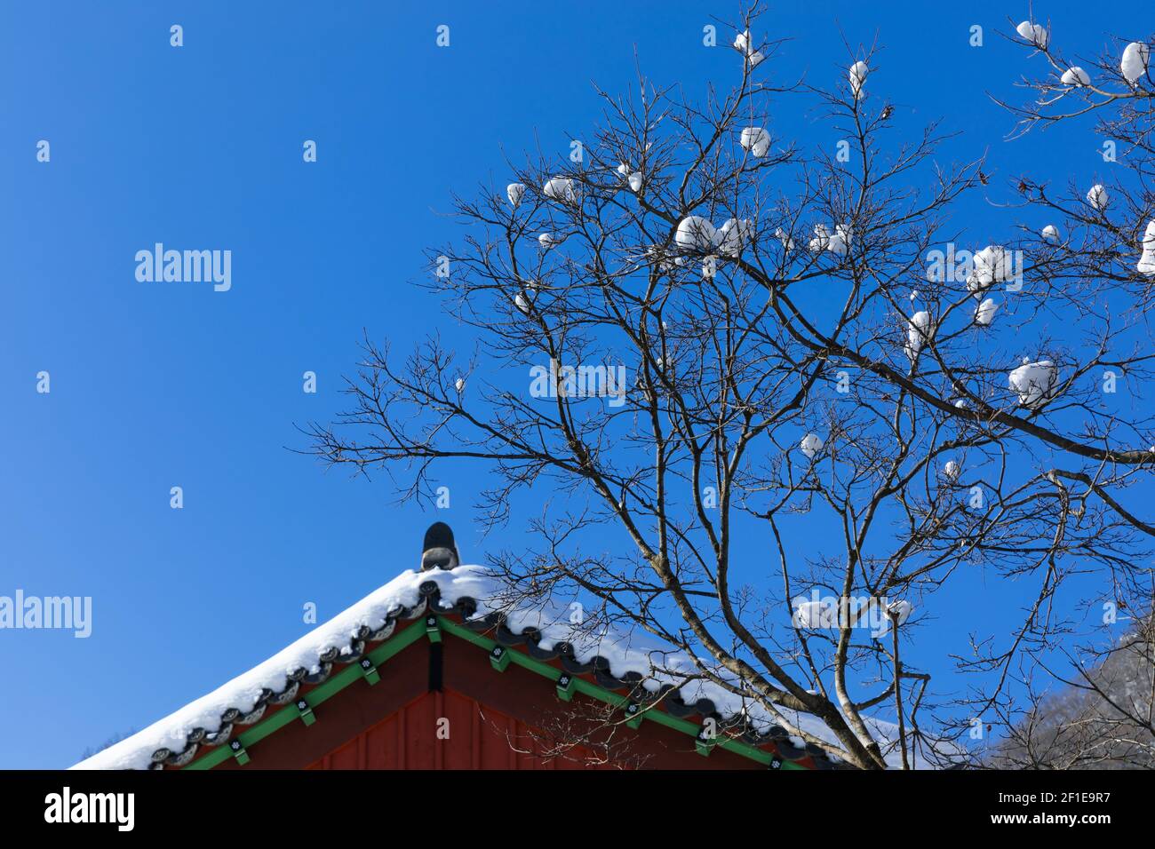 Snow branches nature hi-res stock photography and images - Alamy