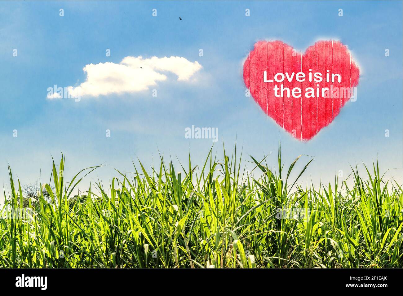 Love Concept Background Stock Photo - Alamy