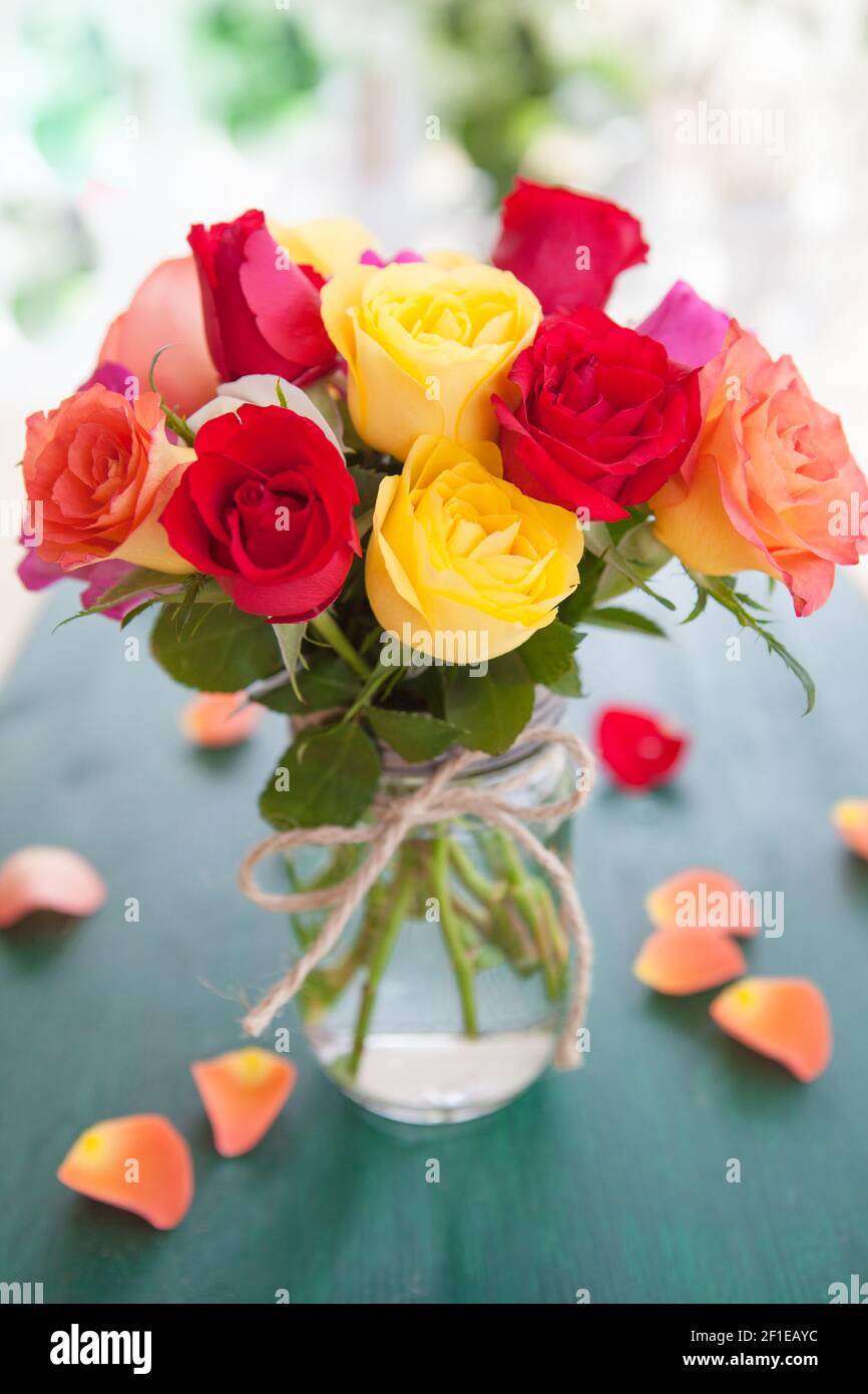 Fresh colorful roses hi-res stock photography and images - Alamy