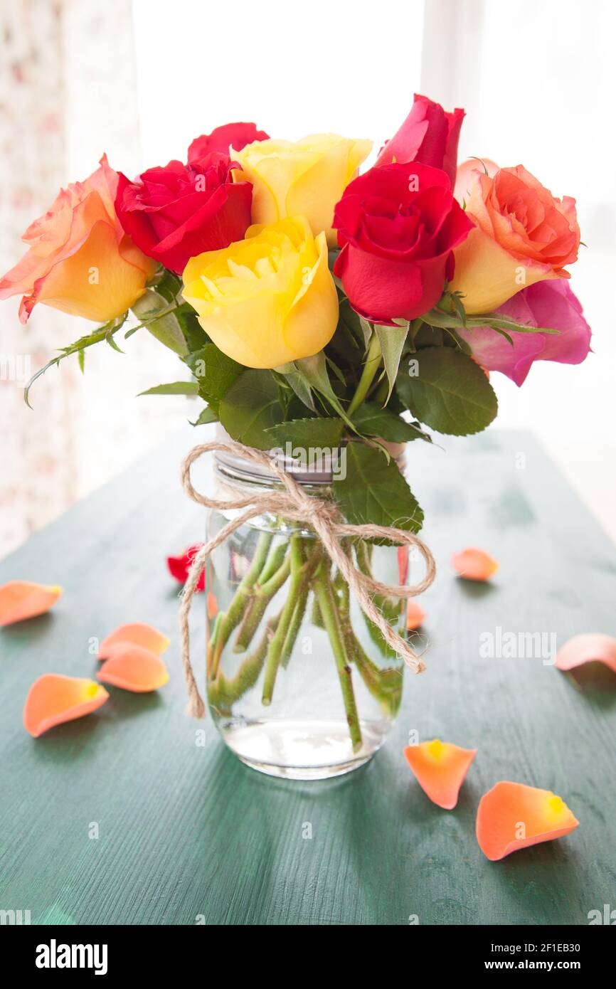 Fresh colorful roses Stock Photo - Alamy