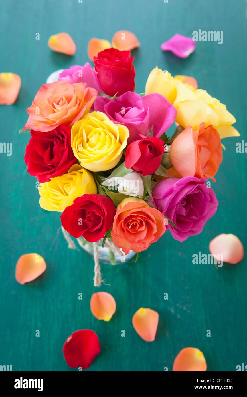 Fresh colorful roses hi-res stock photography and images - Alamy