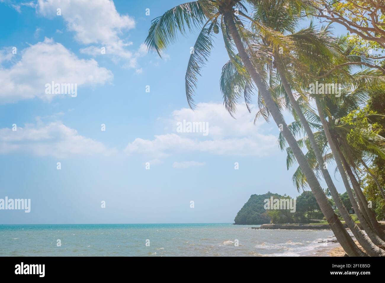 Tropical nature clean beach and white sand in summer season with sun ...