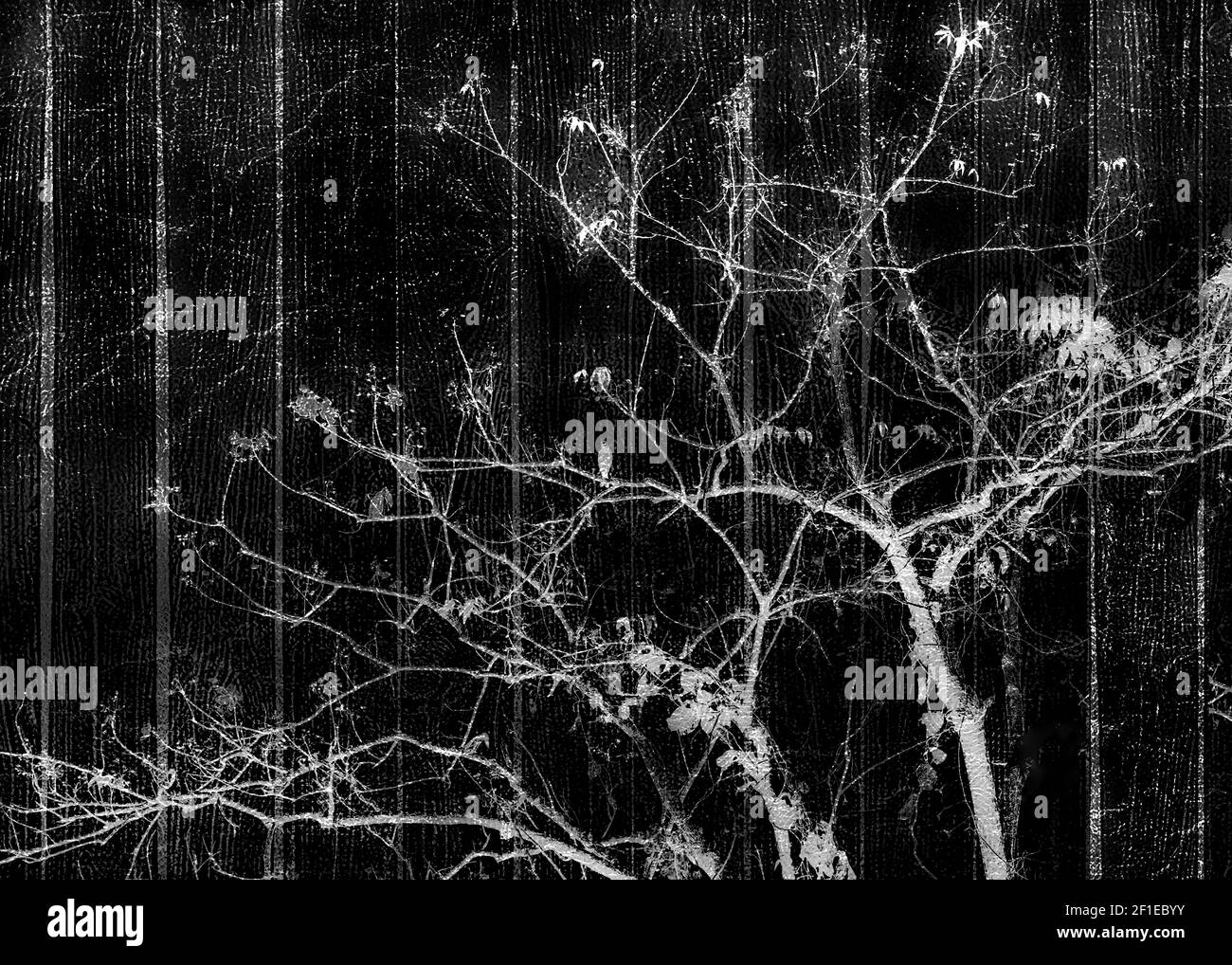 Grunge Nature Background Design Stock Photo - Alamy