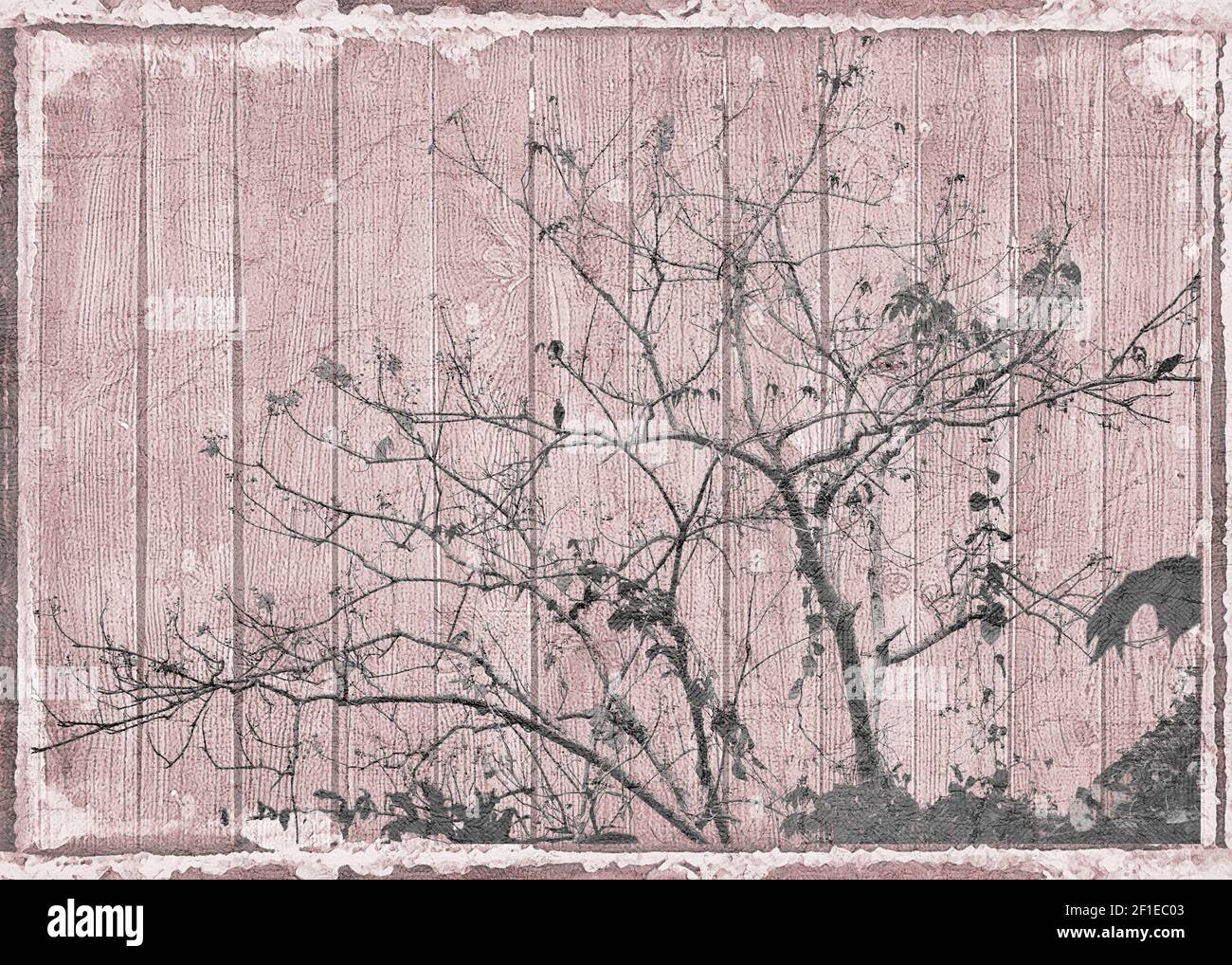Grunge Nature Background Design Stock Photo - Alamy