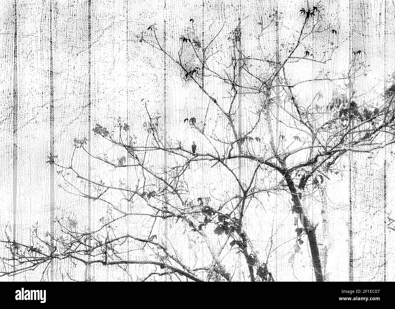 Grunge Nature Background Design Stock Photo - Alamy