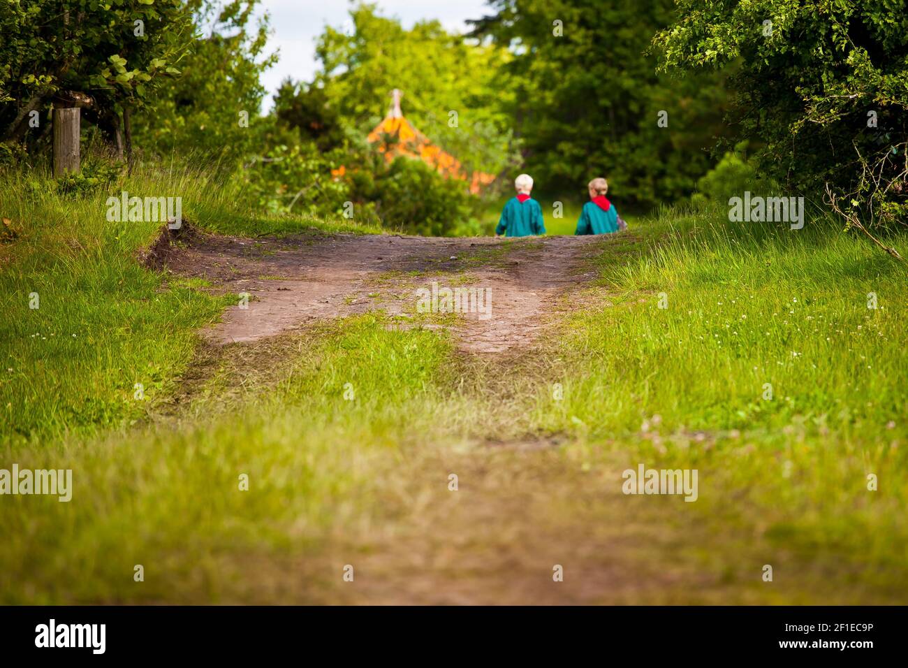 Two small scouts exploring in a forest Stock Photo - Alamy