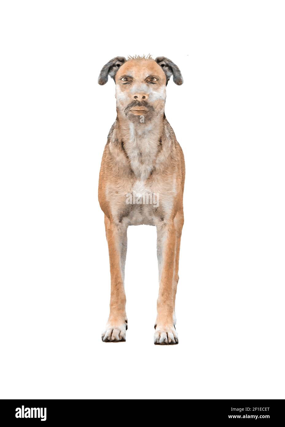 Man monster head Cut Out Stock Images & Pictures - Alamy