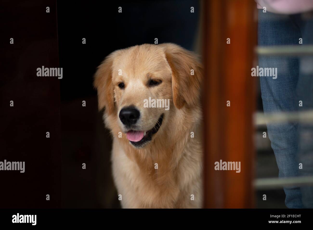 Modern smart home walking hi-res stock photography and images - Alamy