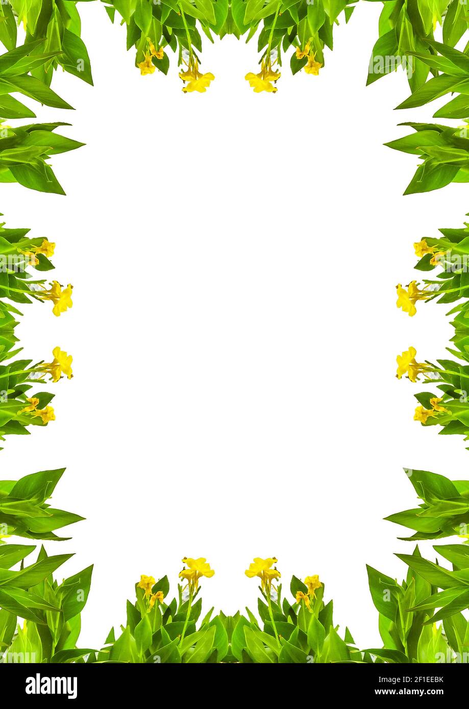 White Frame with Nature Borders Stock Photo - Alamy