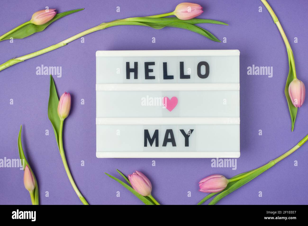 Hello May - text on display lightbox on purple background wih pink ...