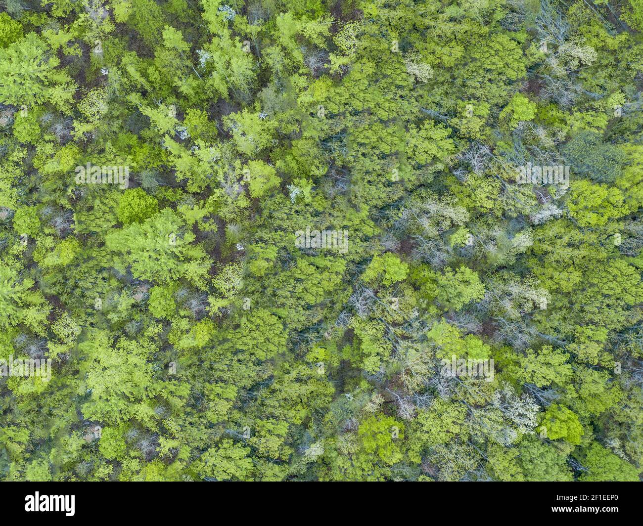 Mountain Range During A Storm Stock Photo - Alamy