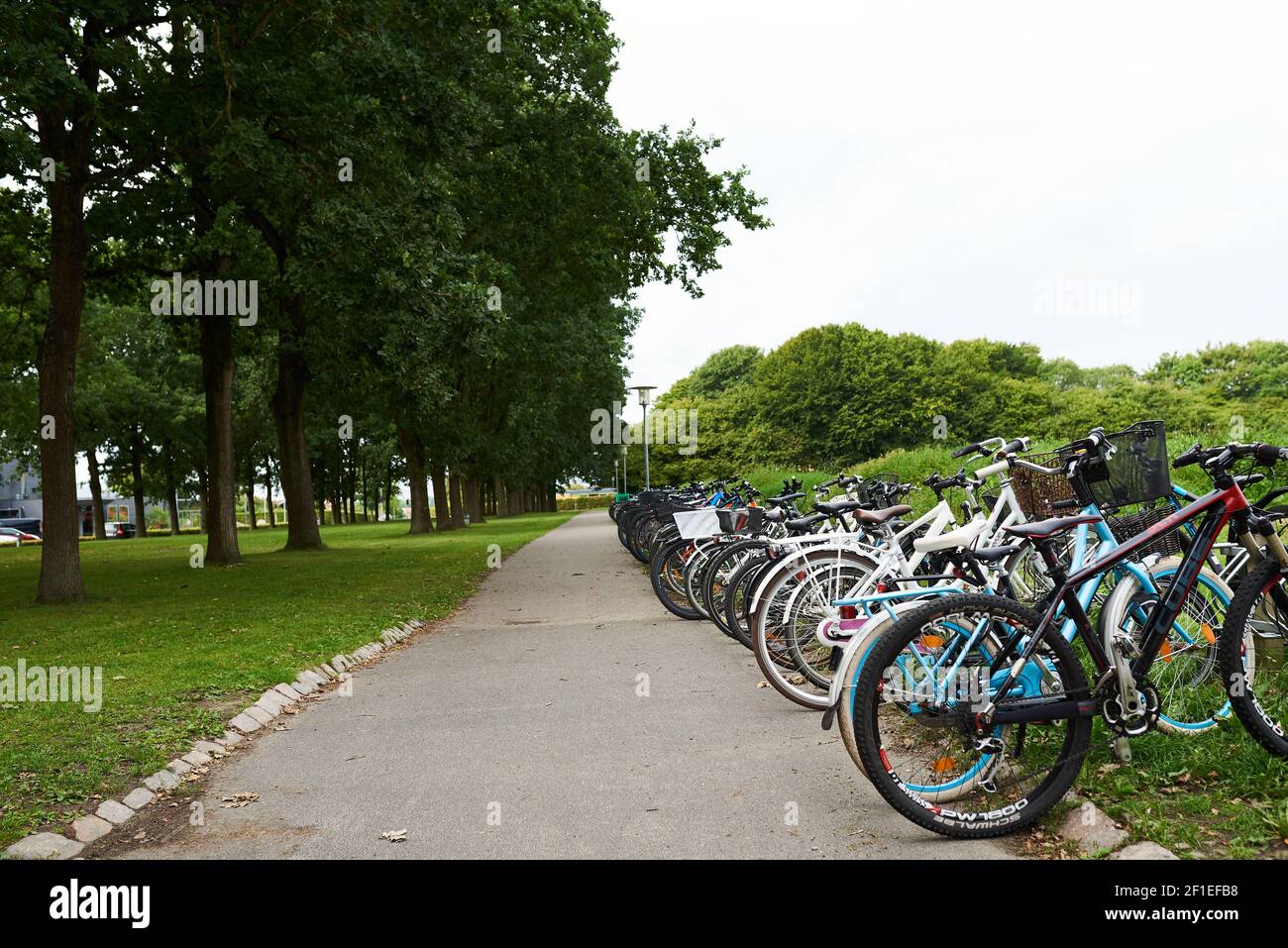 Parked bicycle parking space at a school Stock Photo - Alamy