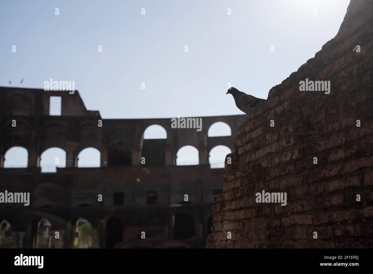Empty rome coliseum hi-res stock photography and images - Alamy