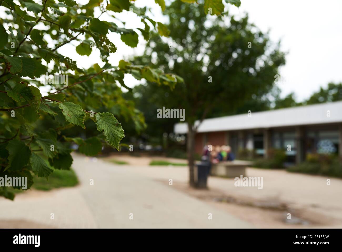 Primary school pupils break time hi-res stock photography and images ...
