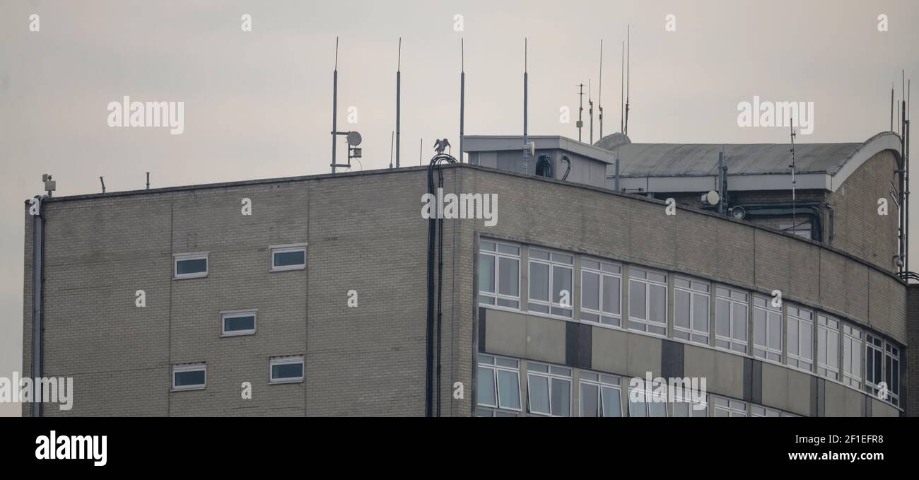 14 storey building hi-res stock photography and images - Alamy