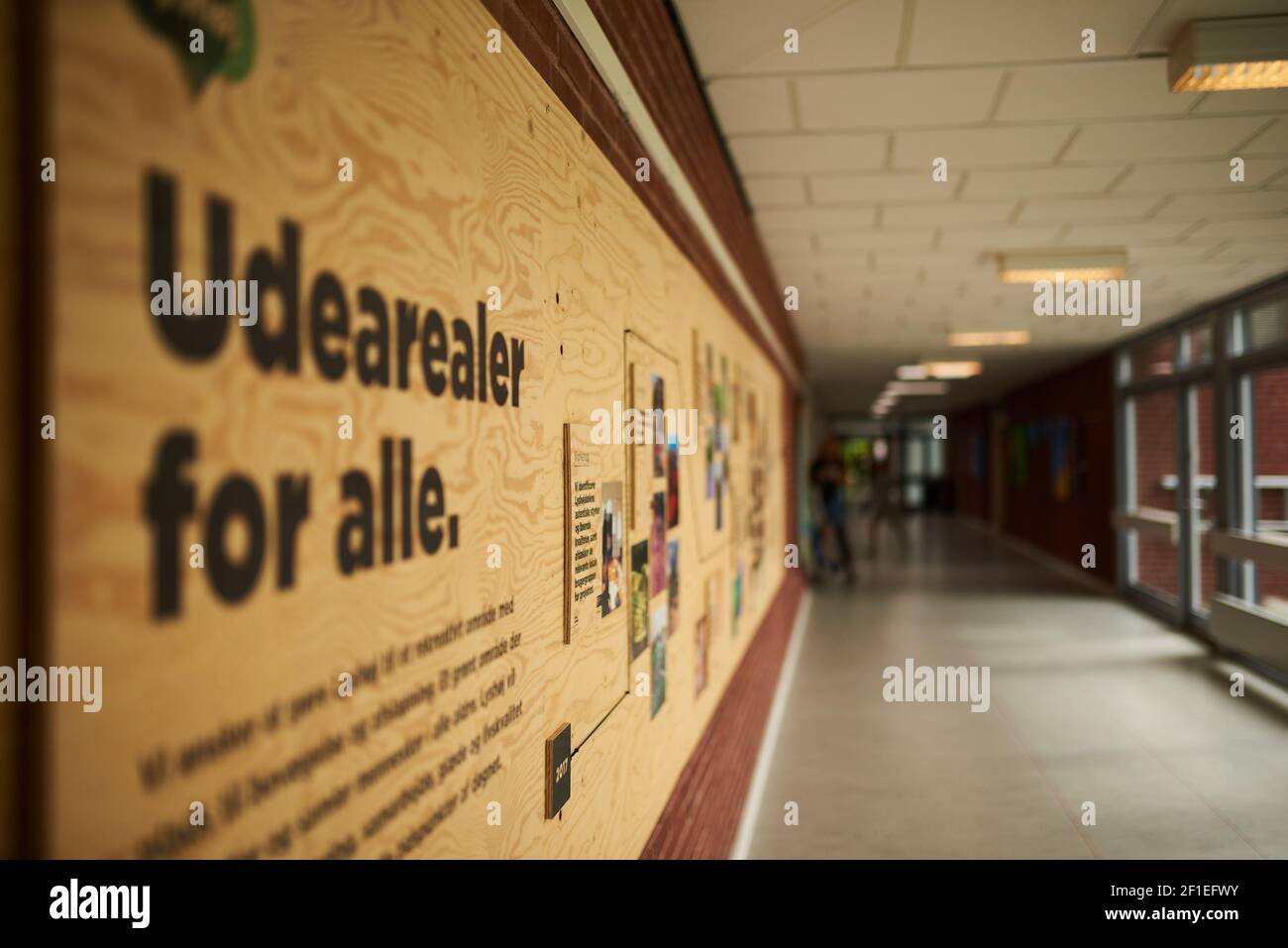Closeup of large wall in a school hall Stock Photo - Alamy