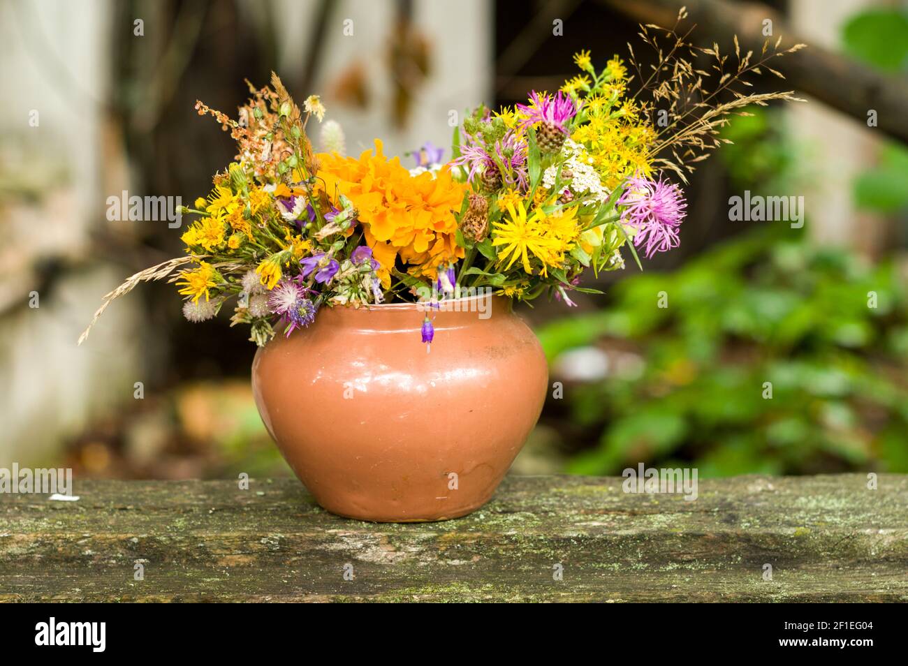 Earthenware pot and wildflowers. Early spring wildflowers in a pot ...