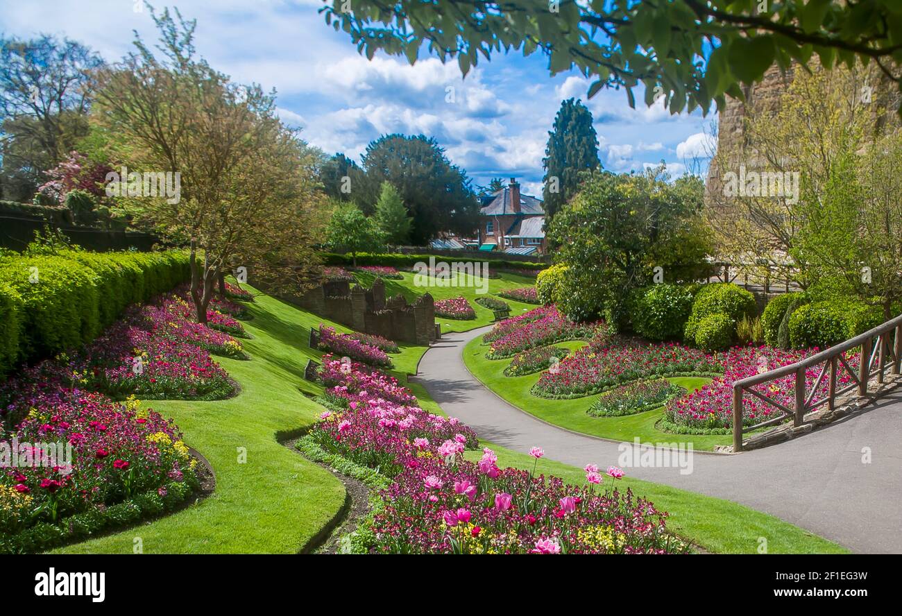 Spectacular flower beds in springtime at Guildford Castle Grounds ...