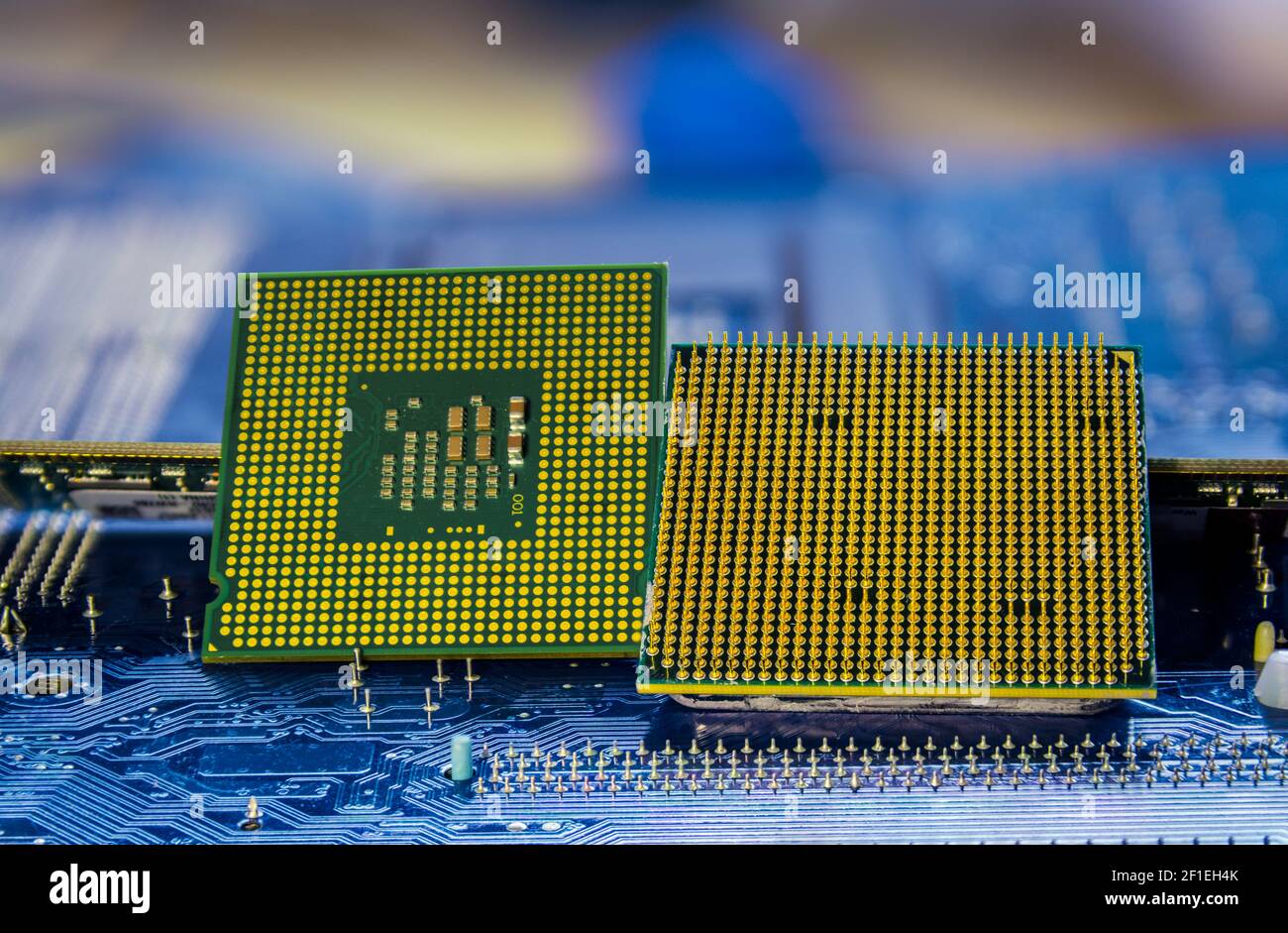 Technology background with computer processors CPU concept blue circuit ...