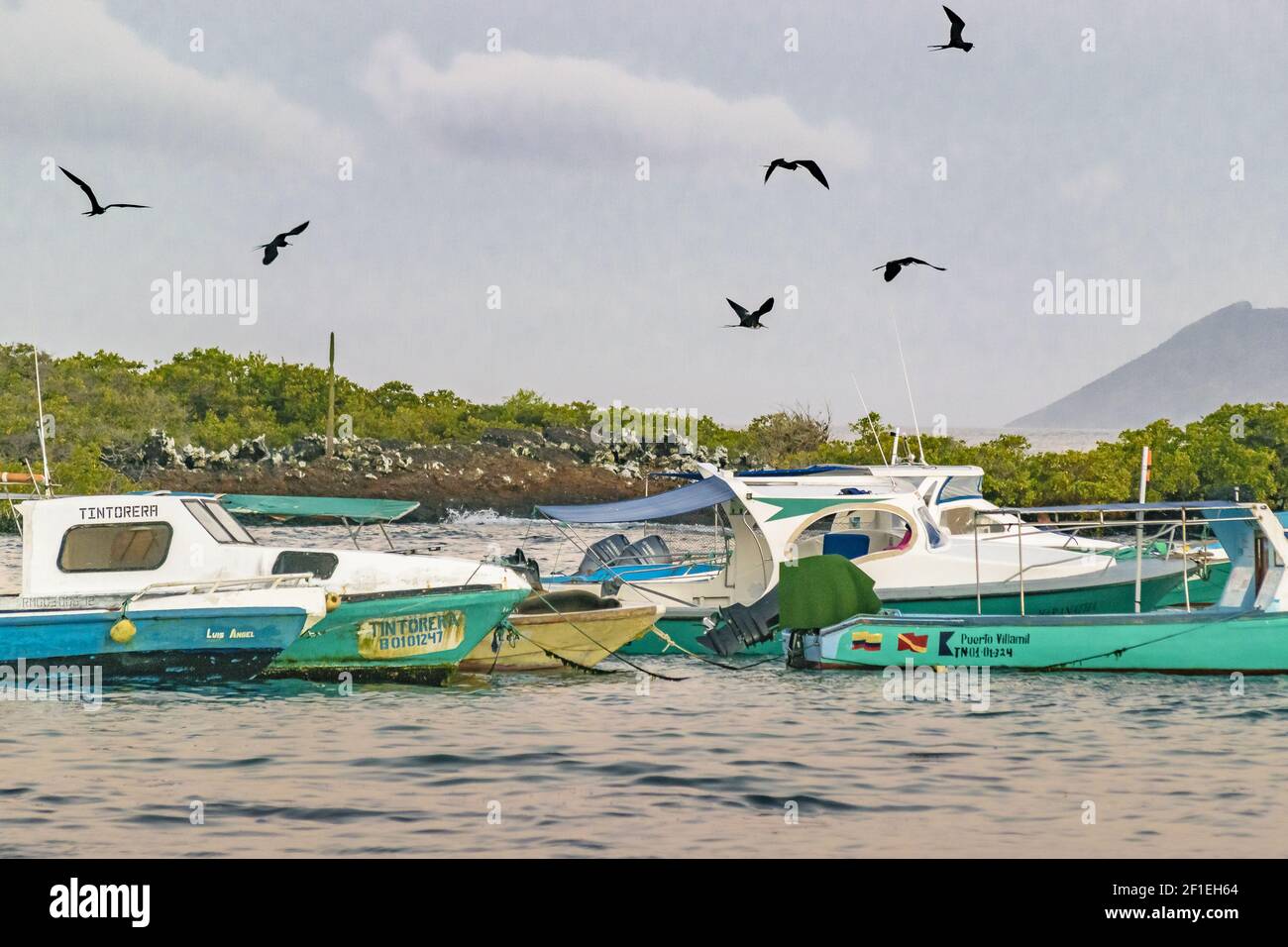 Small passenger boats hi-res stock photography and images - Alamy